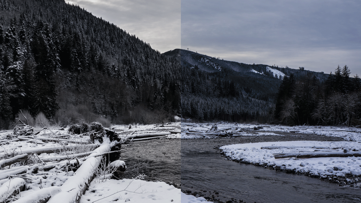 RAW Smartphone Photography: A Look at The Difference RAW Editing Makes ...