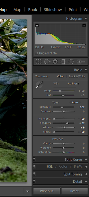 A Guide to Editing RAW Photography for Your Smartphone Pictures