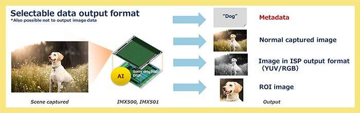 The Sony IMX500 and IMX501 are Sony's first image sensors with AI ...