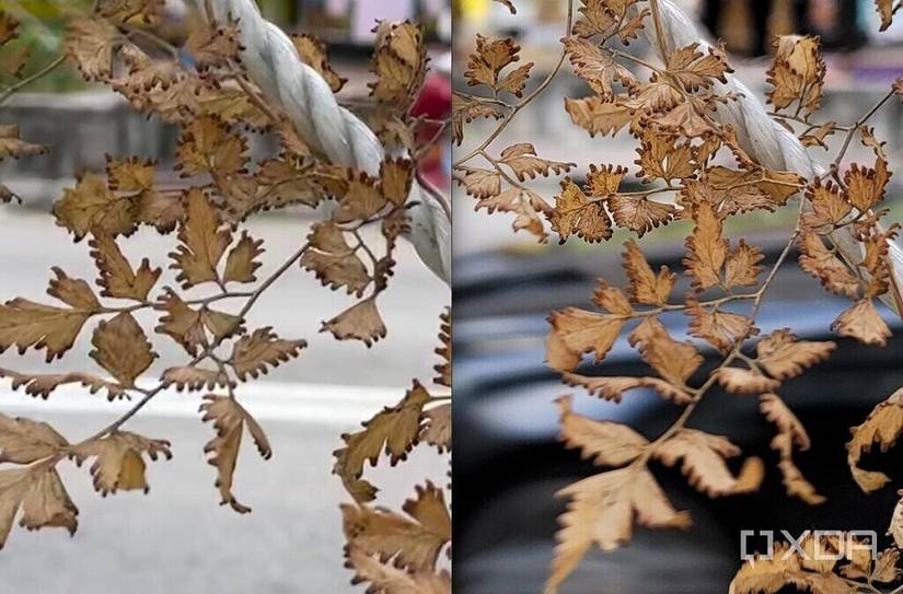 Apple iPhone 12 Pro Max vs Samsung Galaxy Note 20 Ultra: Camera Shootout