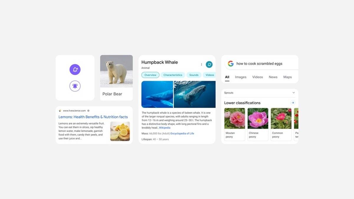 Google Search gets a big redesign on mobile that focuses on simplicity