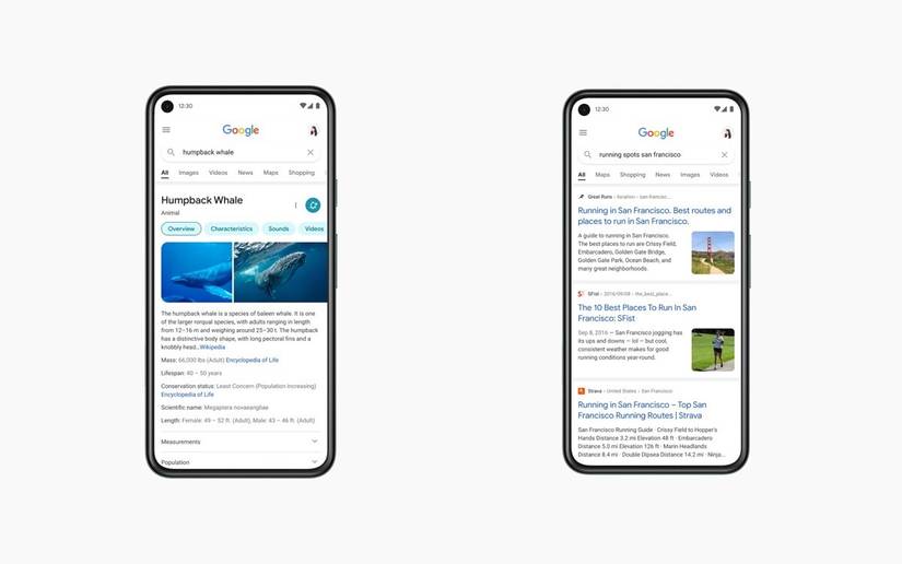 Google Search gets a big redesign on mobile that focuses on simplicity