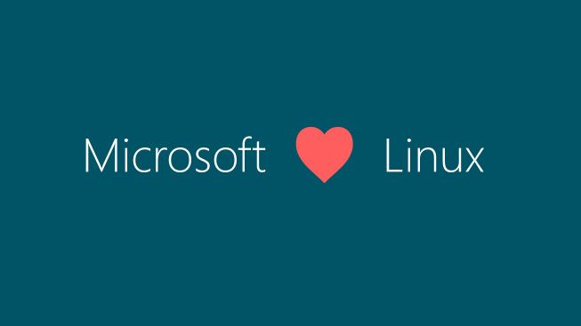 Microsoft finally updates the Linux kernel in WSL after two and a half ...