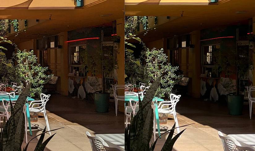Google Pixel 6 Pro vs Apple iPhone 13 Pro: Camera Shootout
