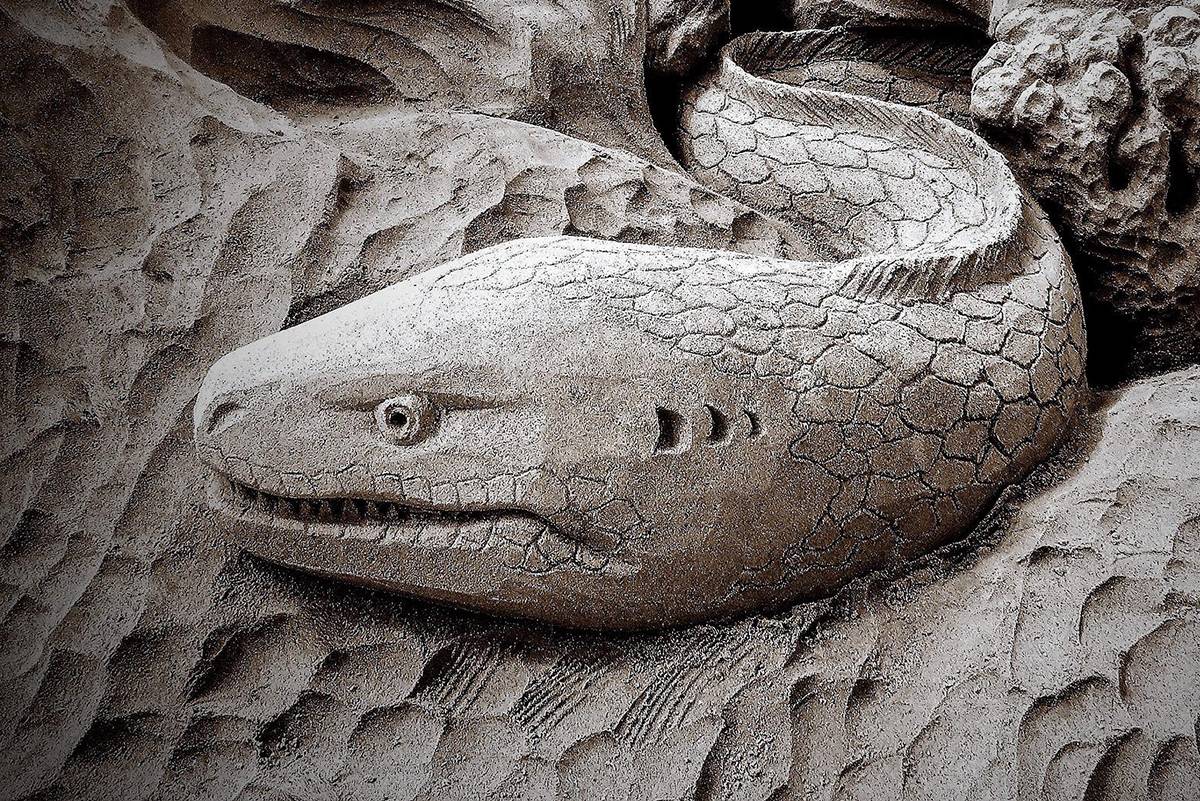 Android Studio Electric Eel Canary brings Live Edit to the Compose Preview