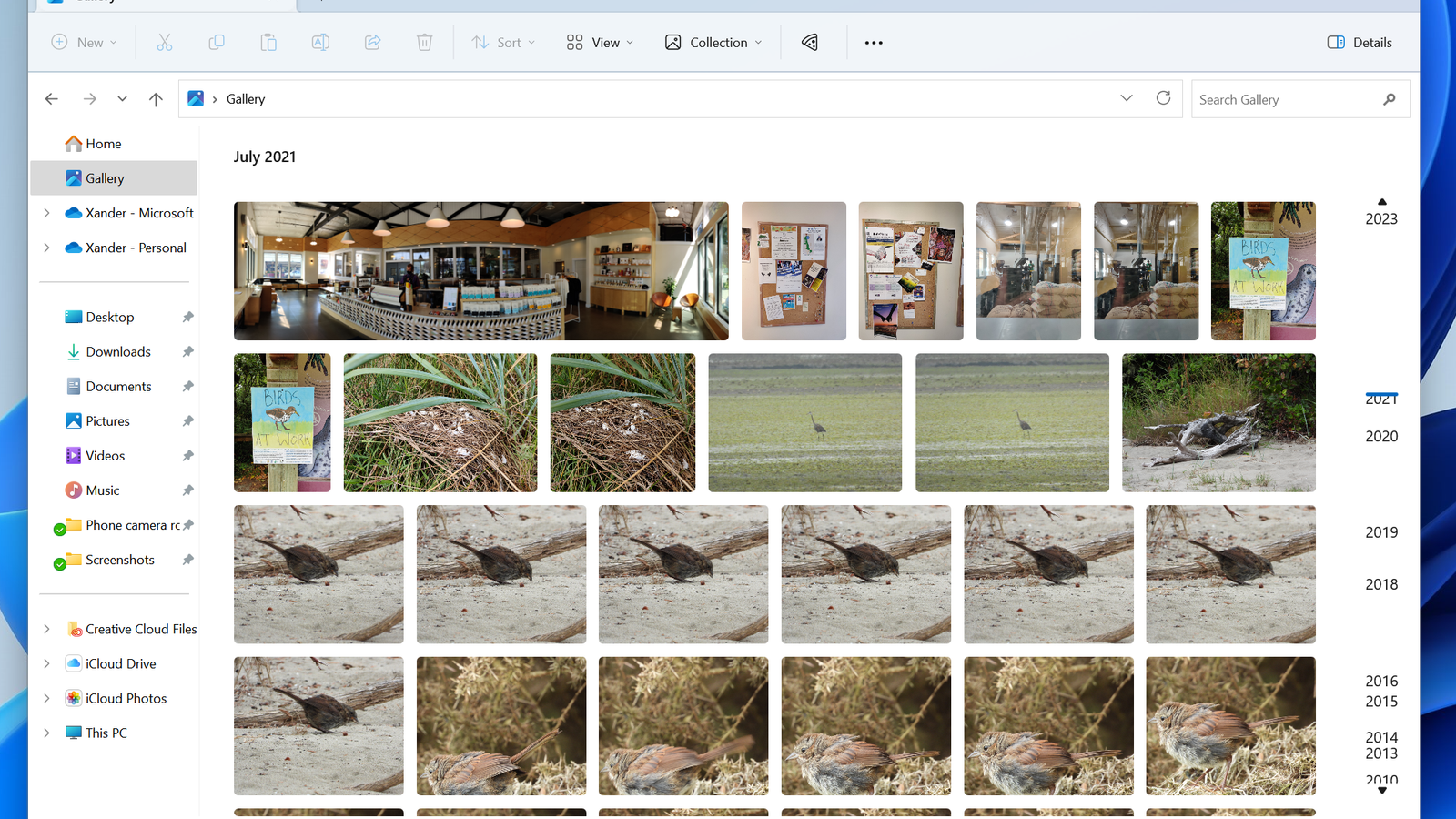 Windows 11's File Explorer is getting a new Gallery view for photos