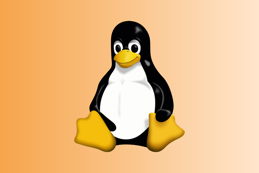 How to remove Linux from a dual boot with Windows