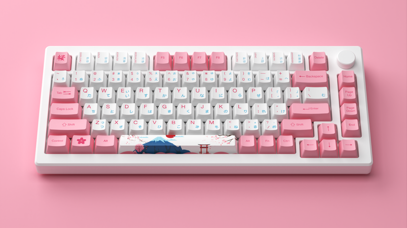 Akko MOD007B-PC keyboard review: Going on a feature-packed world tour