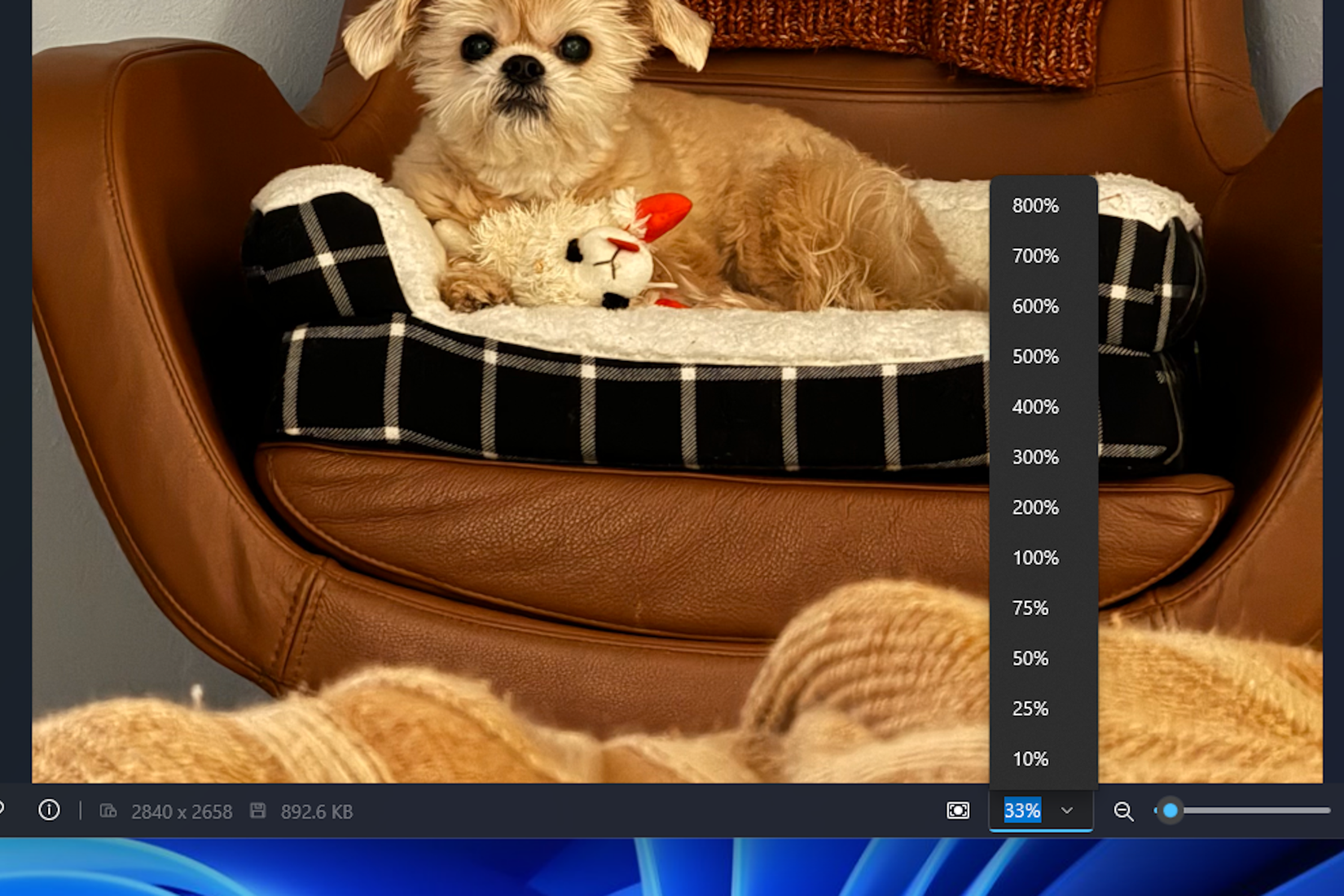 Microsoft Photos for Windows 11 will finally give you the zoom controls it always should have had