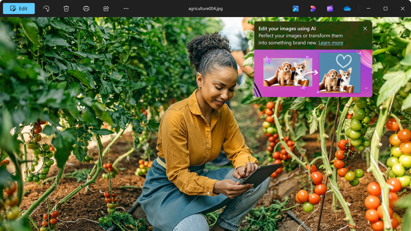 Microsoft Photos gets even more powerful AI tools in its latest update