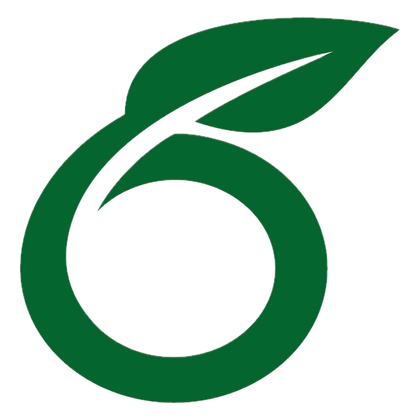 6 creative ways to use Overleaf for personal projects or presentations