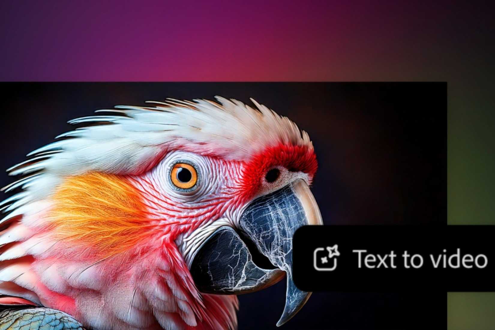 Generate and translate videos in a pinch with Adobe Firefly