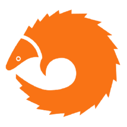 Which remote access tool is the best for your use case