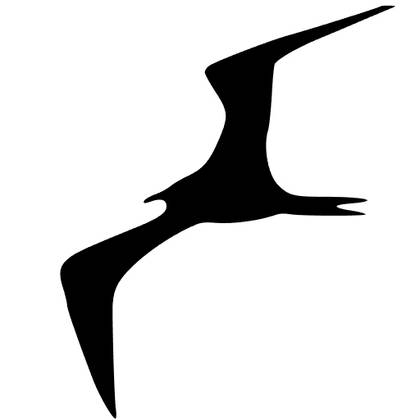 What I wish I knew sooner about using Frigate for home security