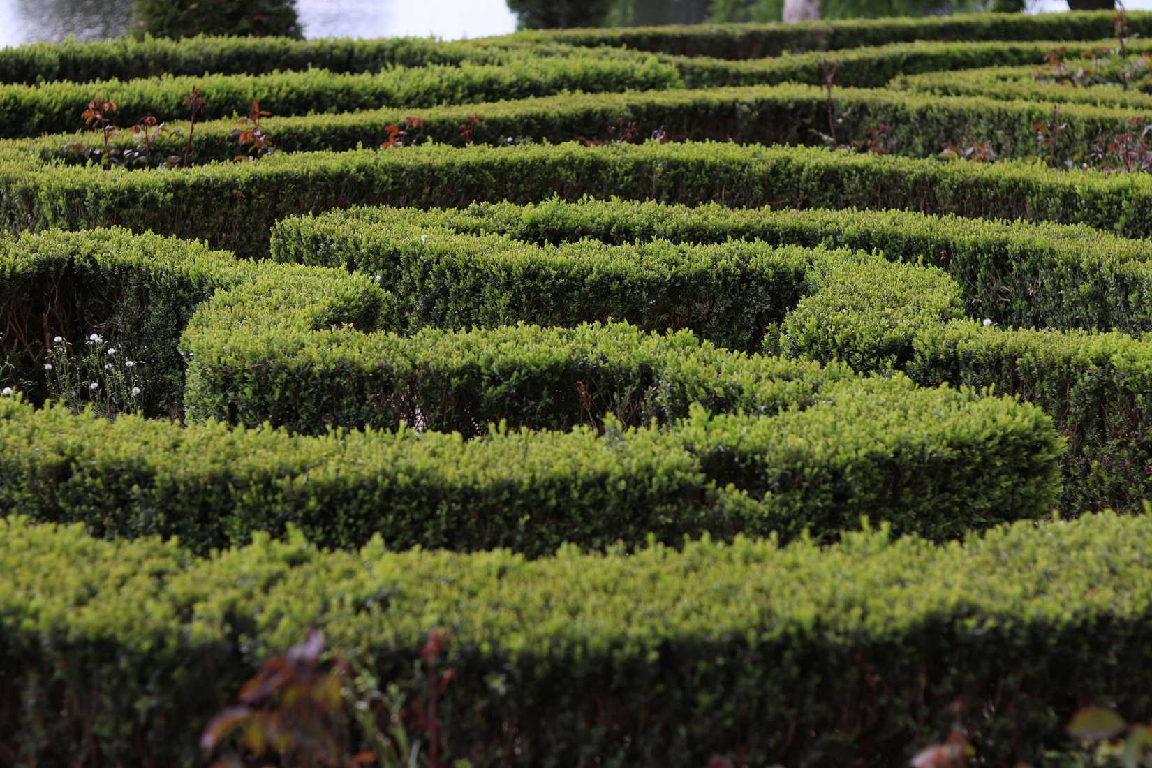 This Cloudflare feature stops AI bots from scraping your site and sends them down an endless ...