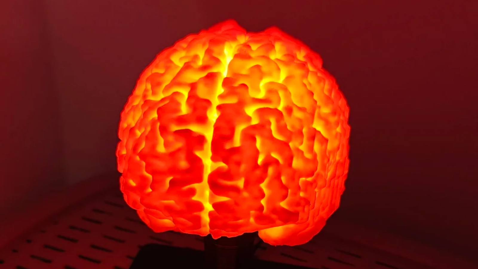 Someone 3D printed their own brain, and you can too with the right files