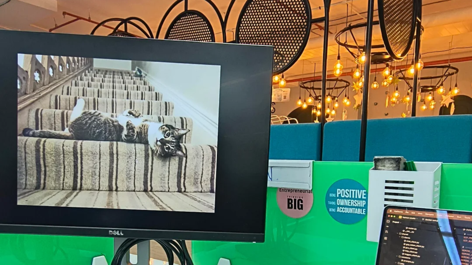 This Raspberry Pi project rewards you with a new cat picture every time ...