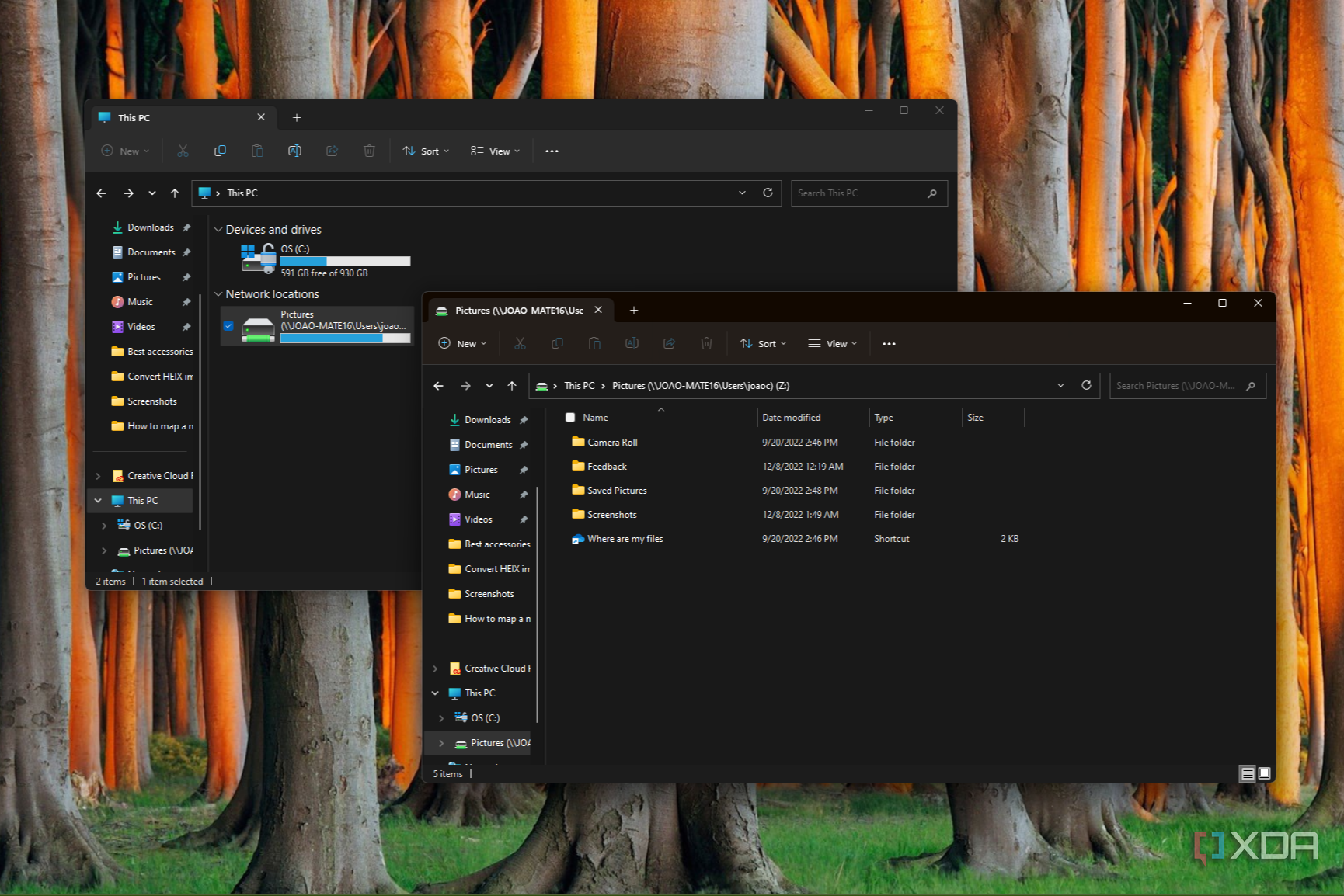 The Windows File Explorer is still so bad when it comes to networked ...