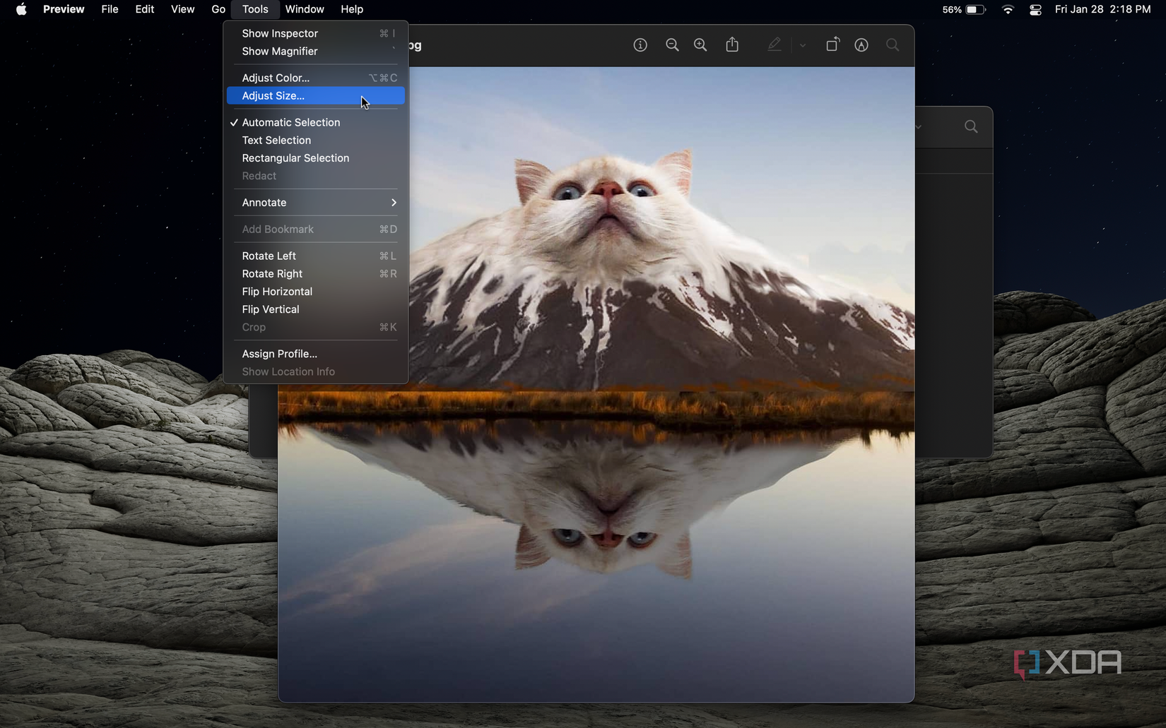How to resize an image on your Windows PC or Mac