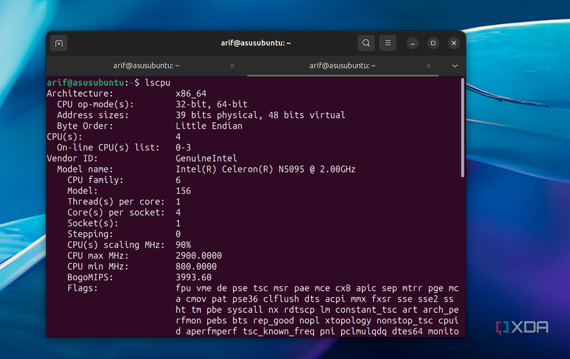 How to run Windows programs on Linux
