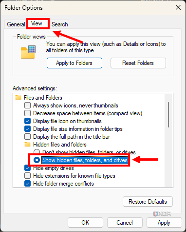How to show hidden files on Windows 10 and 11