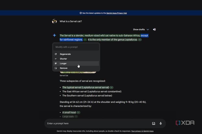 Google Gemini's latest update lets you highlight and fine-tune its ...