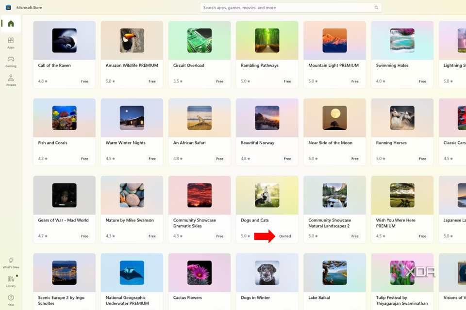 How to install themes on Windows 11