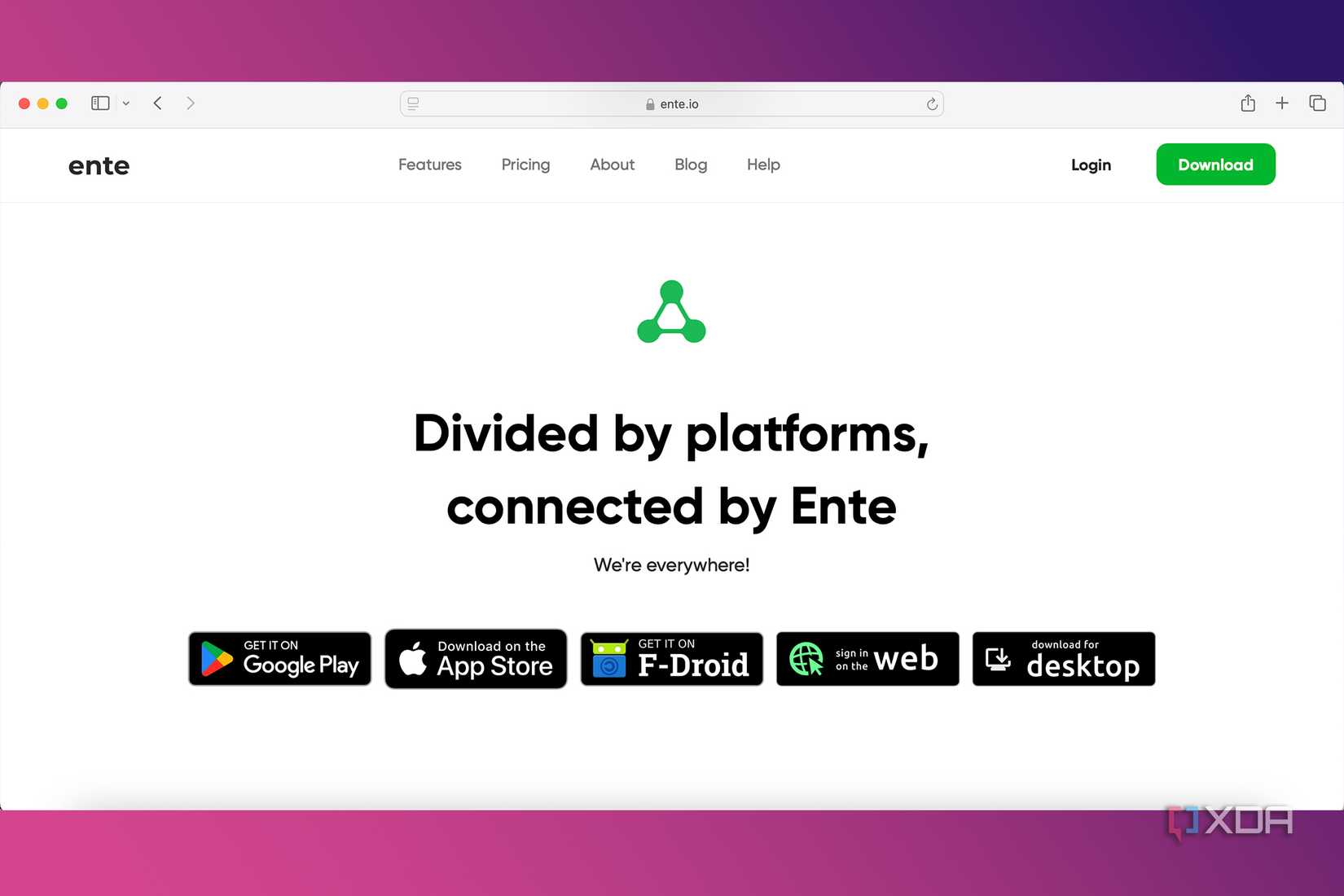9 reasons Ente Photos is my favorite open-source photo management tool