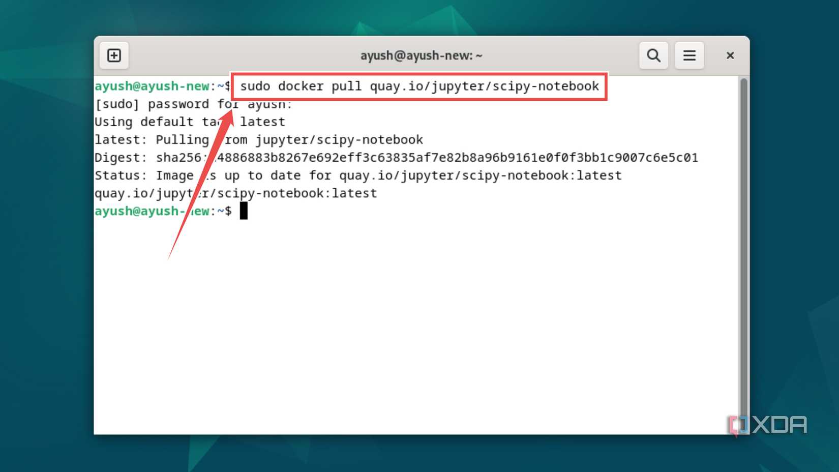 I self-host Jupyter Notebook to work on my Python projects - here's how