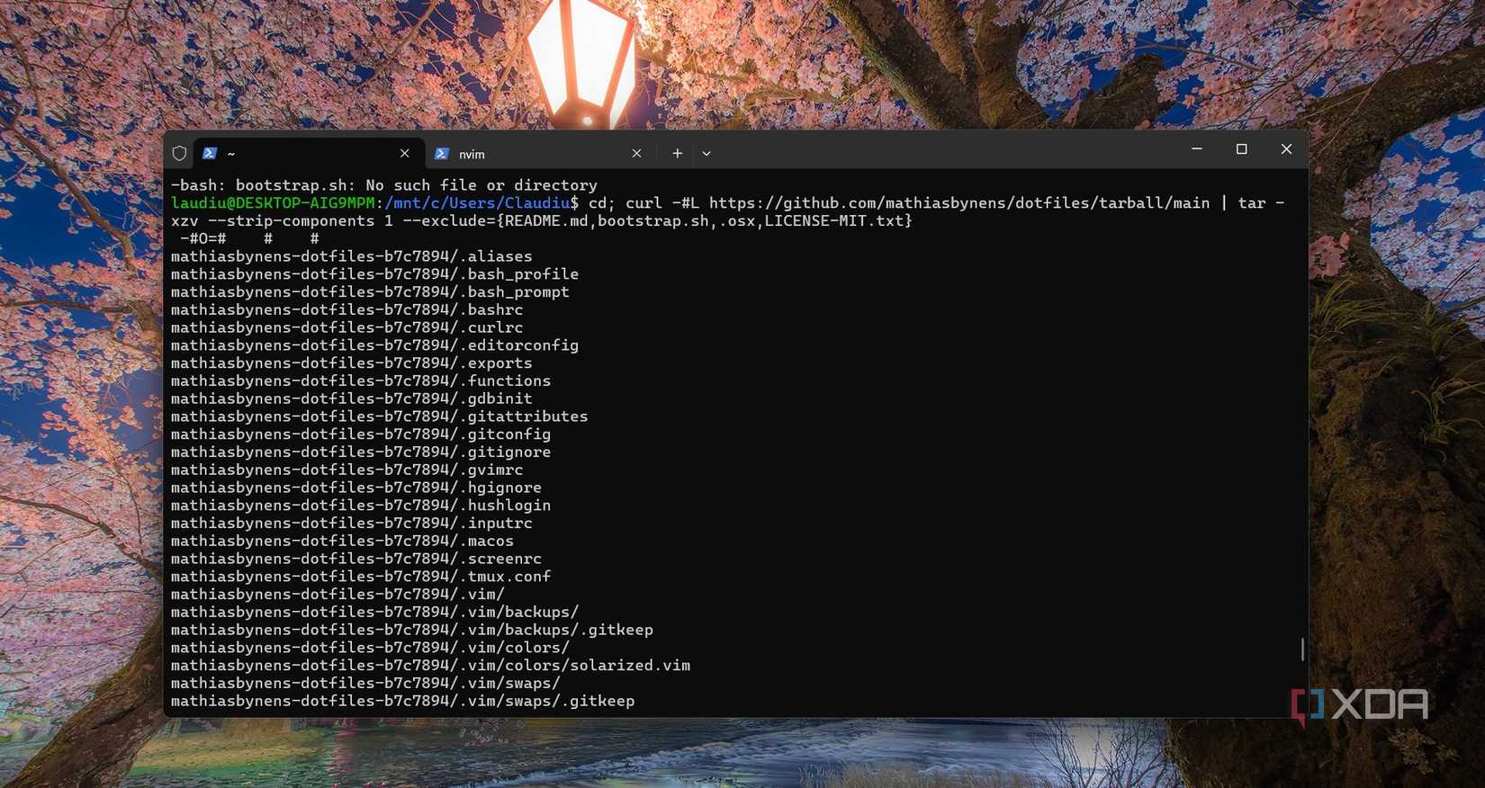 Dotfiles are the underrated tool most users are missing out on