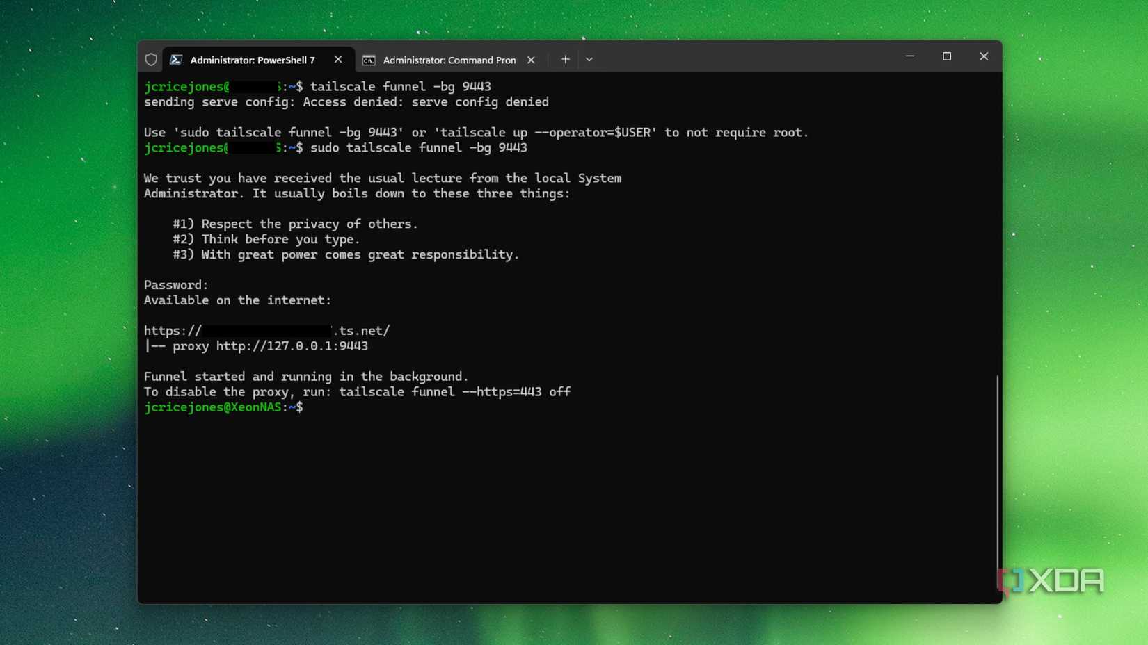 I tried replacing dynamic DNS with Tailscale Funnels