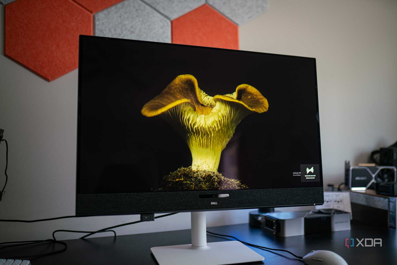 Dell 32 Plus QD-OLED review: A jack of all trades
