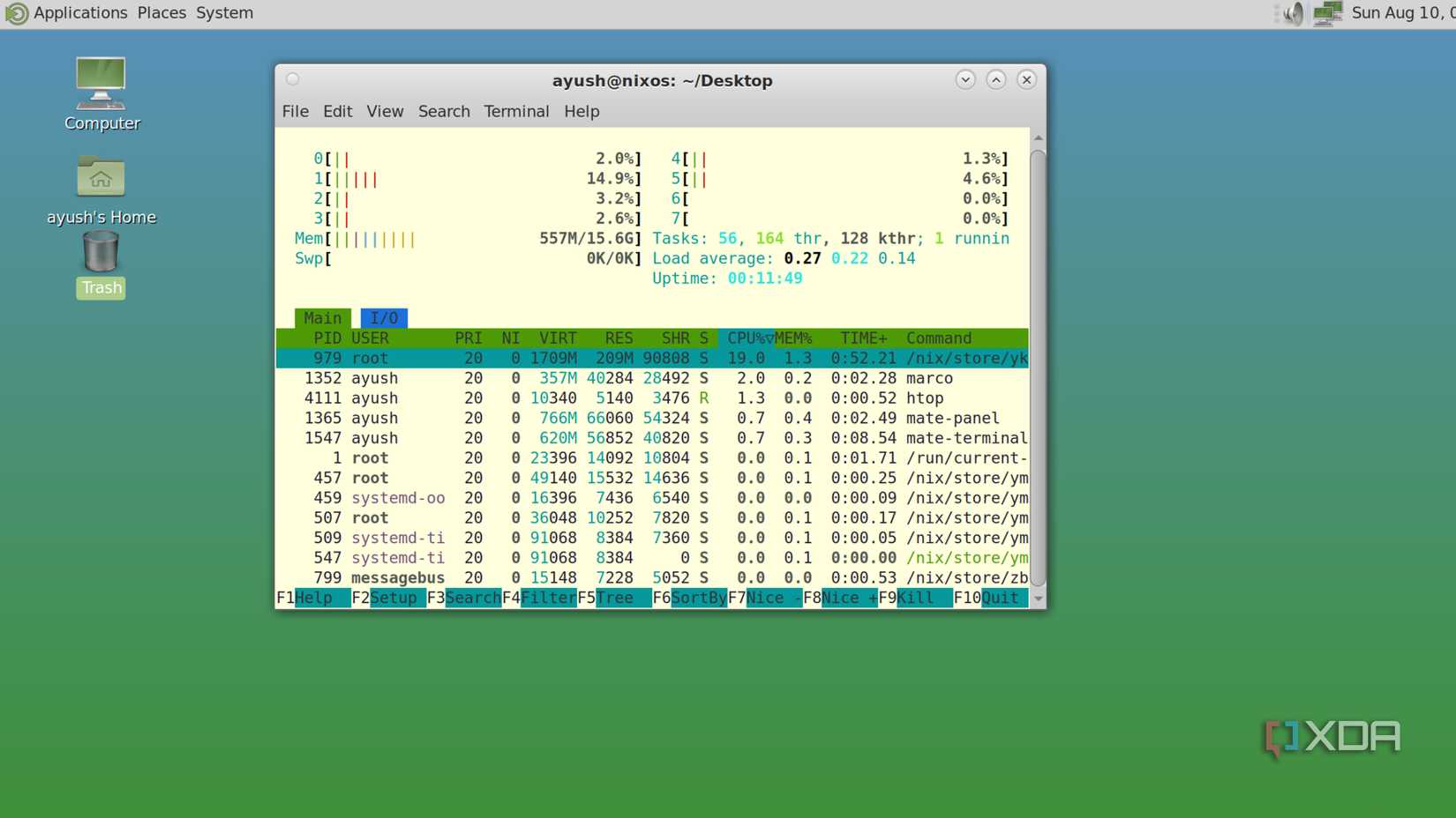 Immutable operating systems are a blessing and a curse