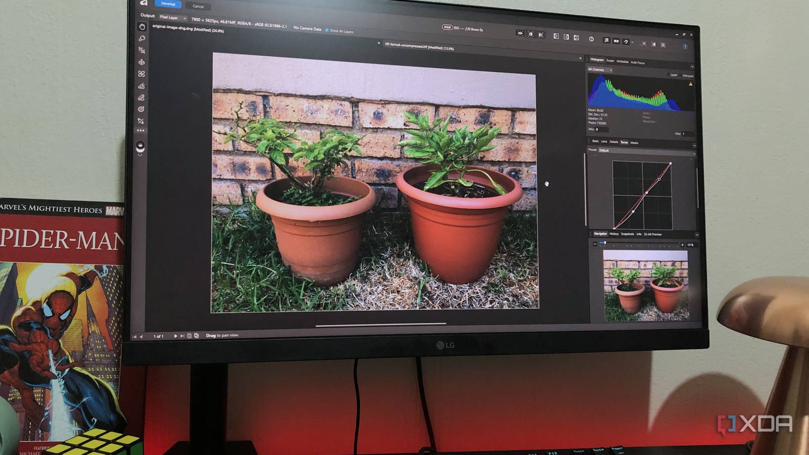 I finally found a free Lightroom alternative that handles RAW files ...
