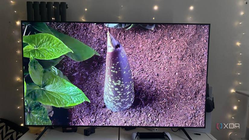 Fix your TV’s washed-out picture with this one setting