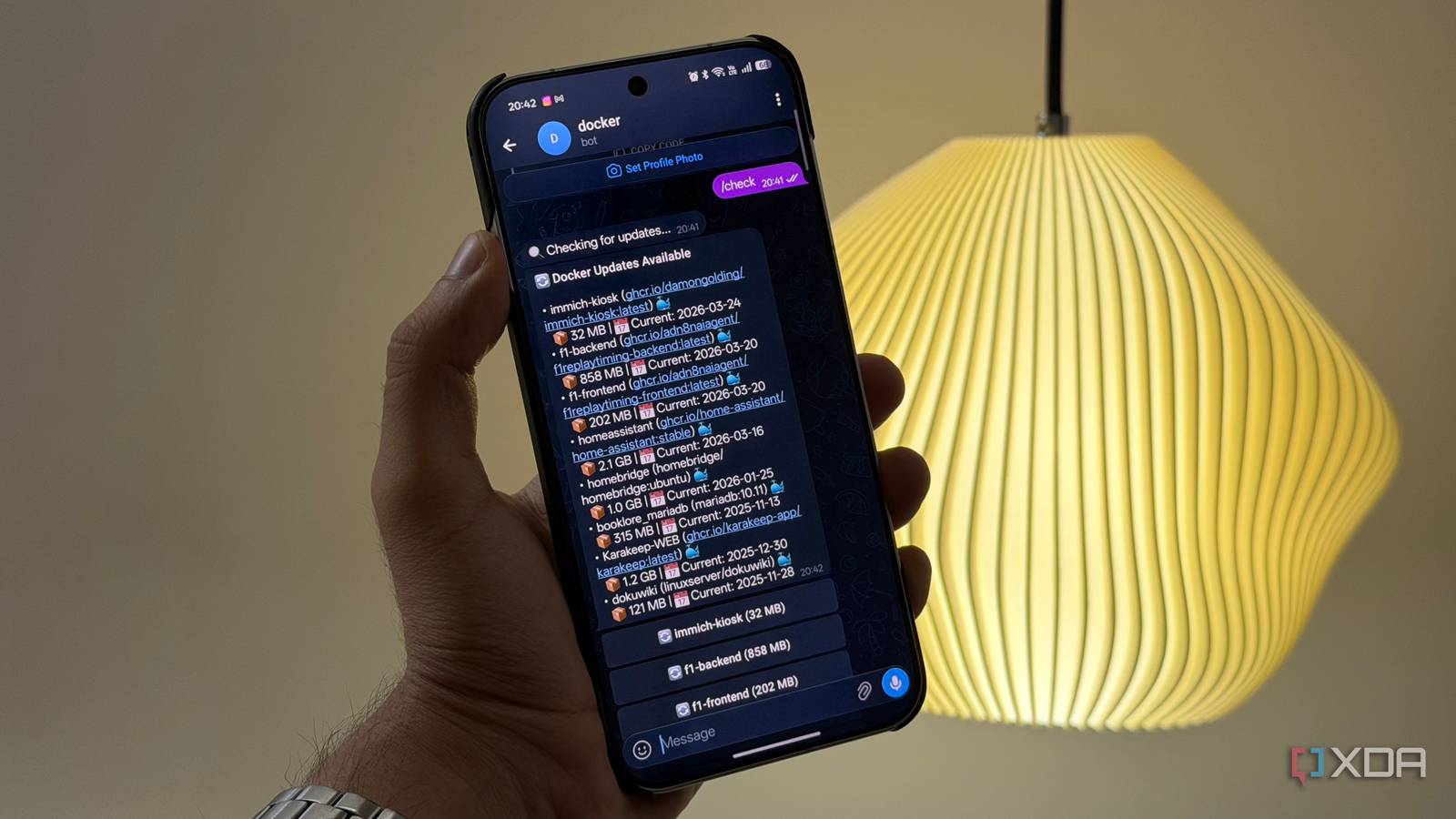Manage your home lab containers with DockSentry and Telegram